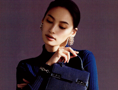 表紙モデルを起用したノーブルなスタイリングがラグジュアリーな「名品」切り口が大好きなPrecious読者に大反響 | 小学館AD POCKET